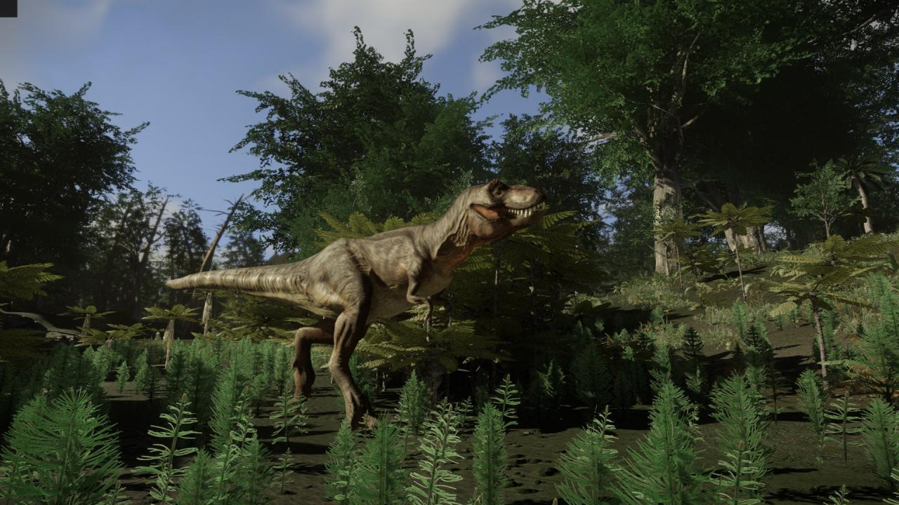 Collision Course Steam Key Preisvergleich